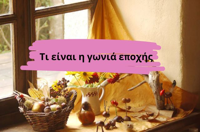 Τι είναι η γωνιά εποχής - Το blog του Book&Play